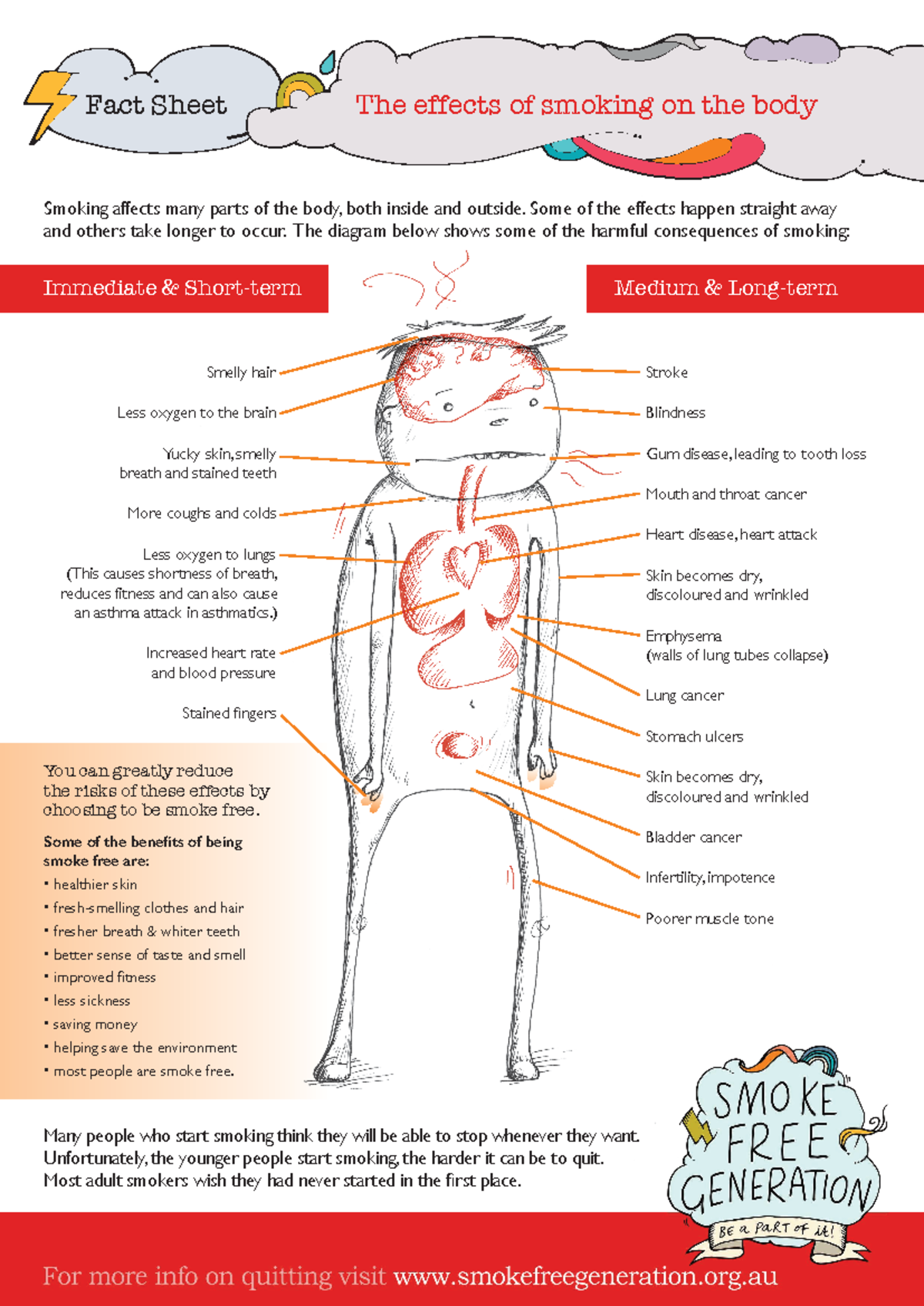 The effects of smoking on the body - Smoking affects many parts of the ...