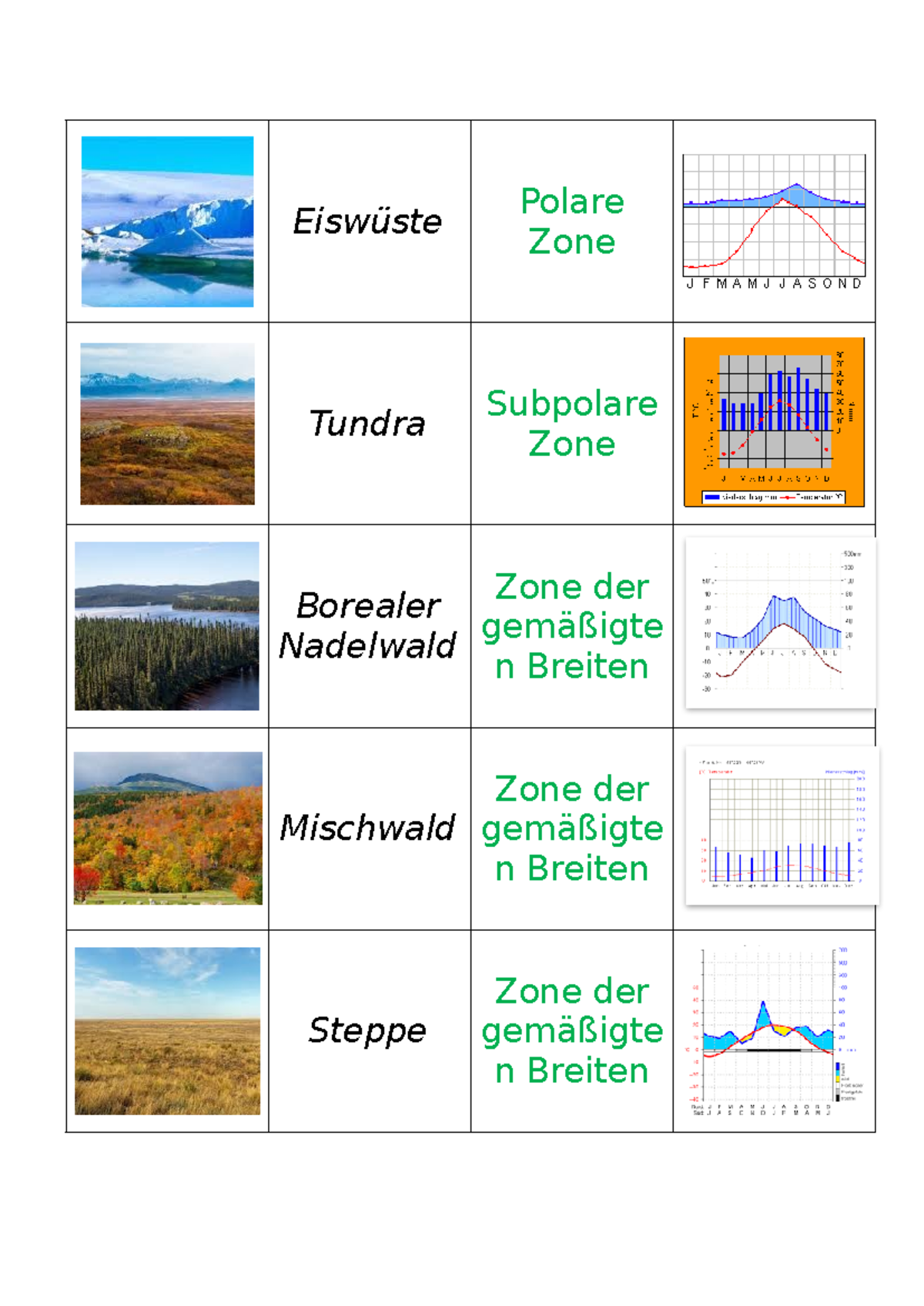 Memory Klimazonen Vegetationszonen - Geographie - Eiswüste Polare Zone ...