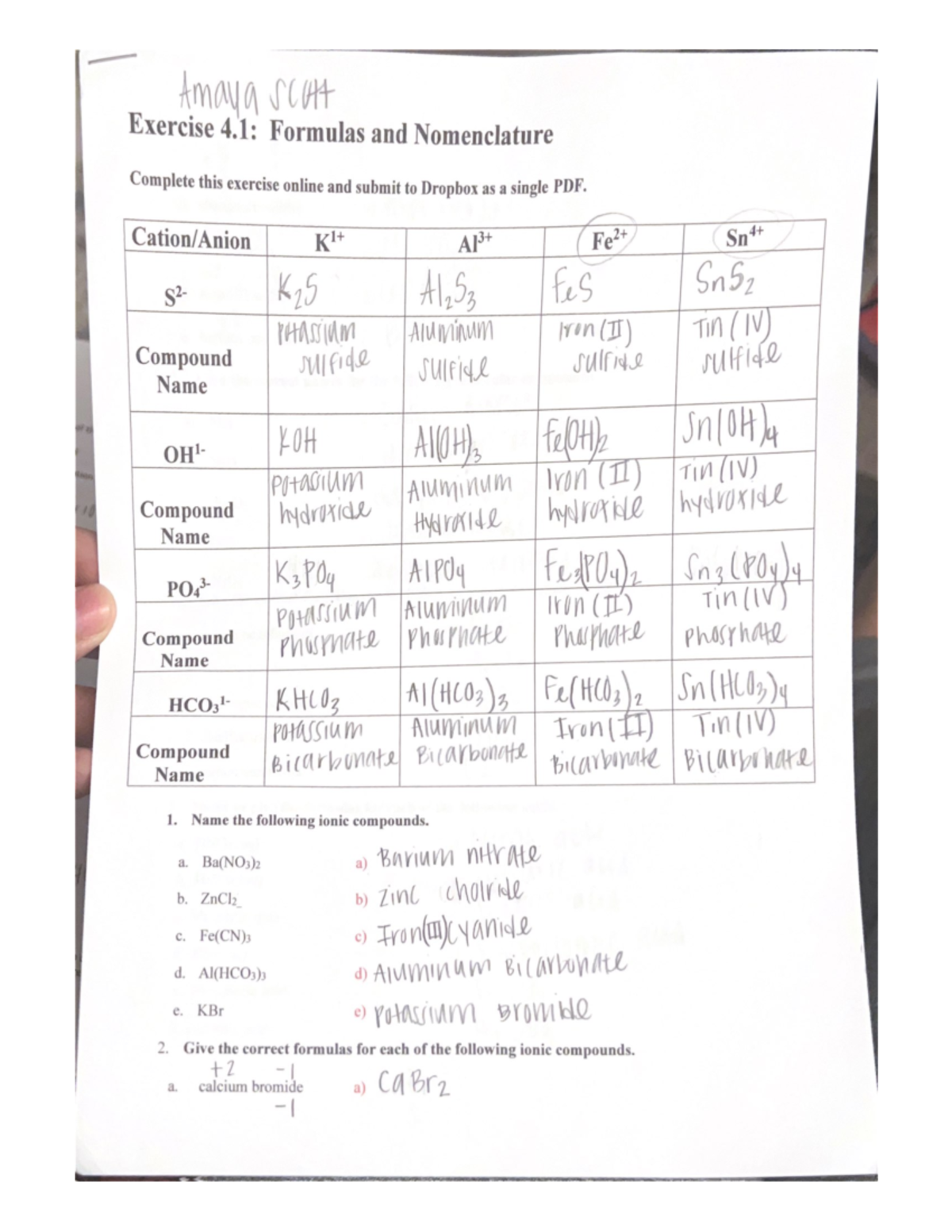 Exercise 4.1 Formulas and Nomenclature 2 - Amaya SCOTT Exercise 4 ...