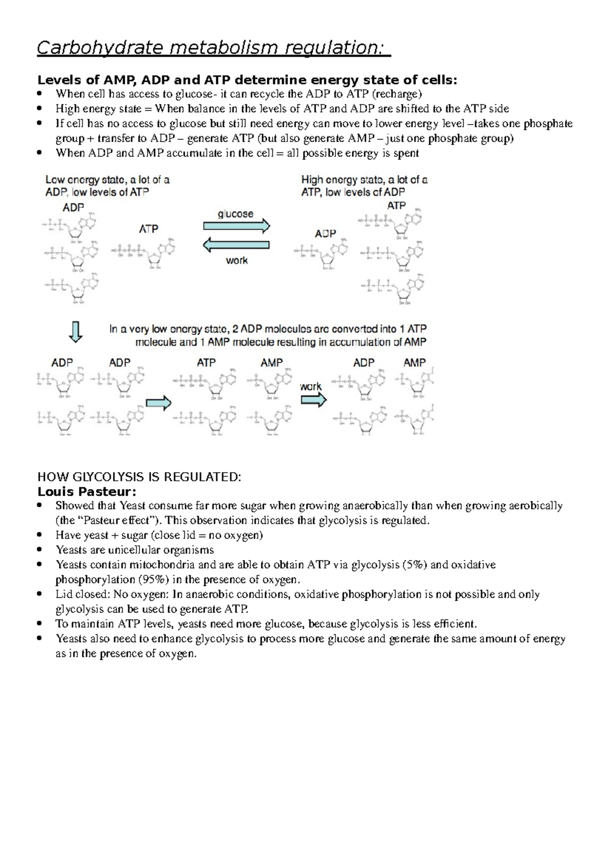 Carbohydrate metabolism regulation - Carbohydrate metabolism regulation ...
