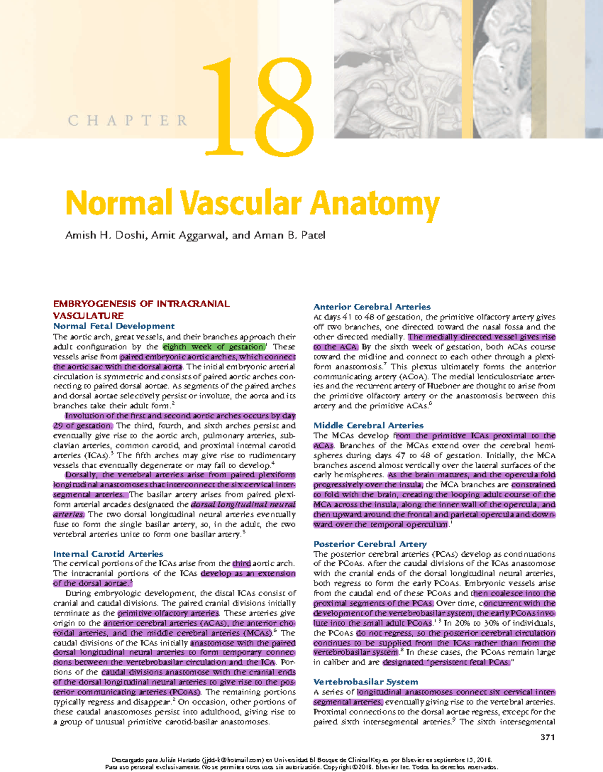 1- Normal vascular anatomy-Imaging of the brain - 18 ####### 371 ...