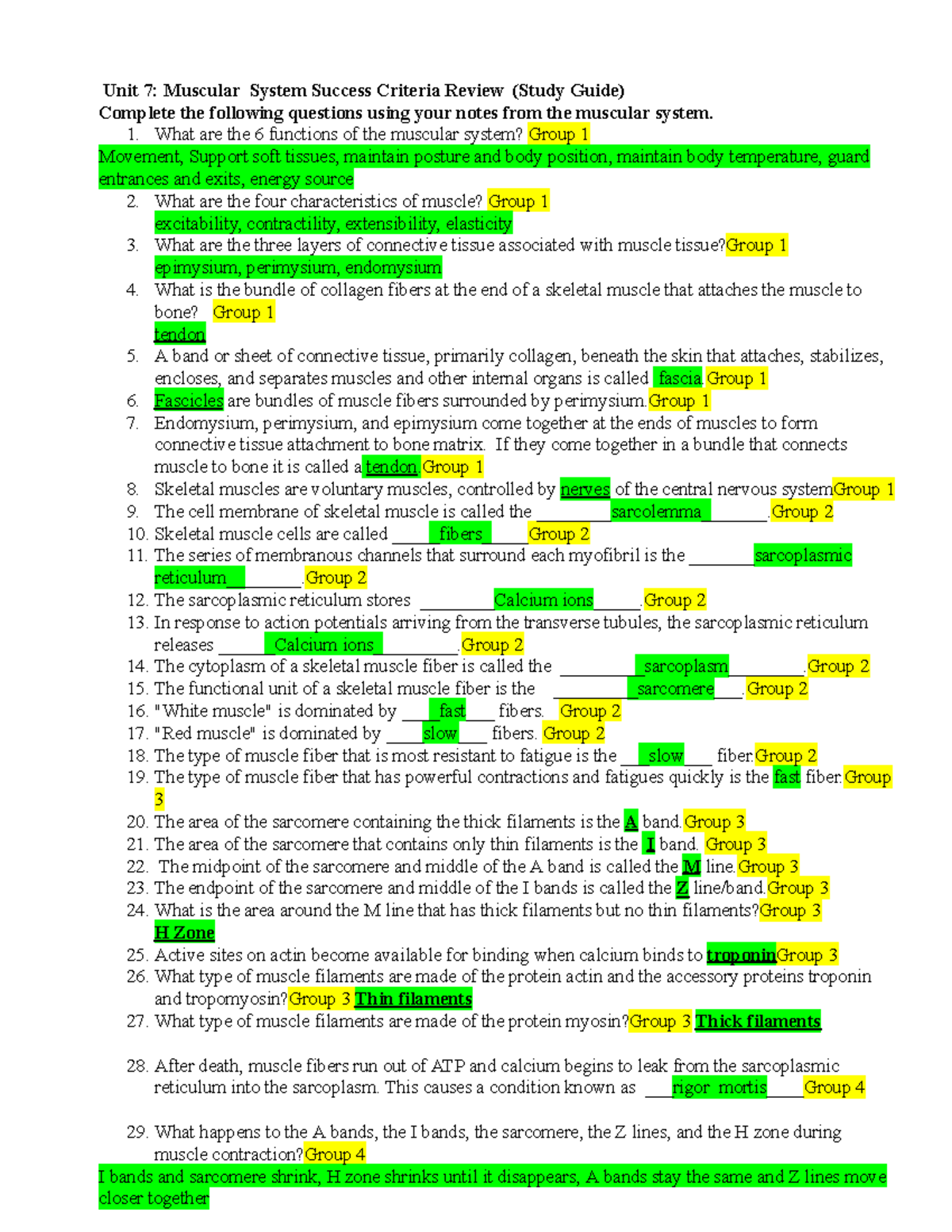 Period 3 Unit 7: Muscular System Success Criteria Review (Study Guide ...