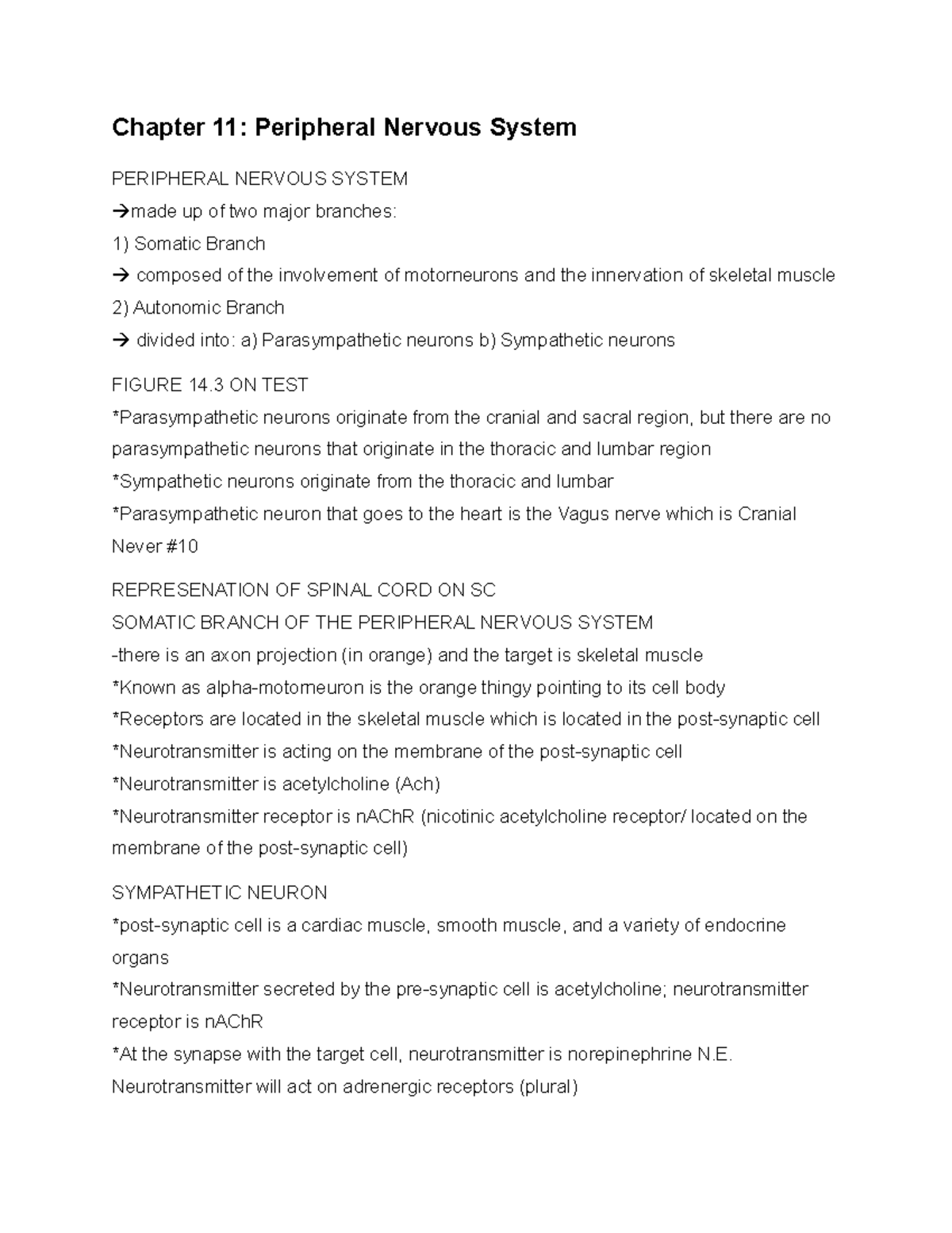 Chapter 11 Peripheral Nervous System - Chapter 11: Peripheral Nervous ...