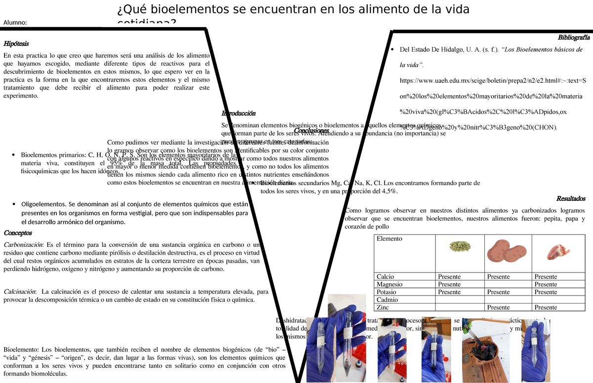 Reporte 1. Bioelementos-LAB-QB - ¿Qué bioelementos se encuentran en los ...