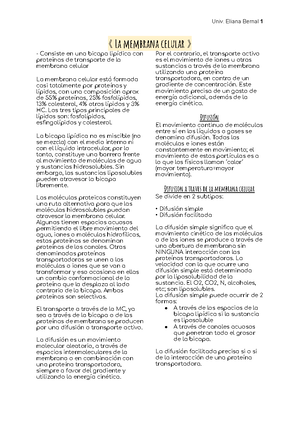 Cap 55 reflejos resumen - CAPÍTULO 55 GUYTON Y HALL ed 13 ° Funciones motoras de la médula ...