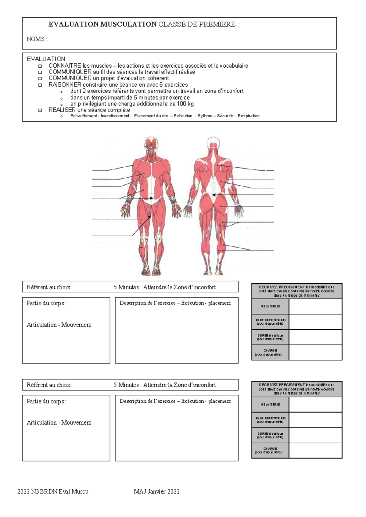 Anatomie des muscles à travailler - 2022 N3 BRDN Eval Muscu MAJ Janvier ...