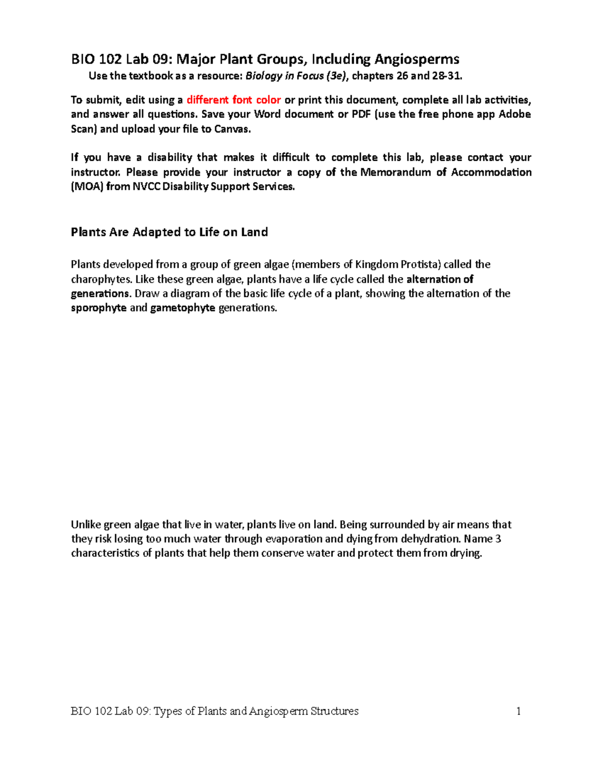 BIO 102 Lab 08, Major Plant Groups-1 - BIO 102 Lab 09: Major Plant ...