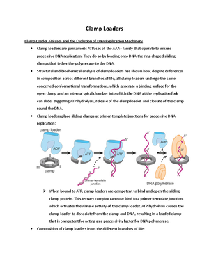 Biochem ACS Study Guide - Biochemistry ACS Study Guide What are ...
