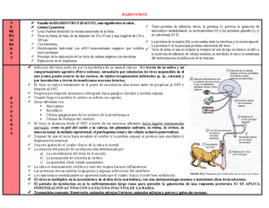 Rubeola - Características, epidemiologia, cuadro clínico, diagnostico ...