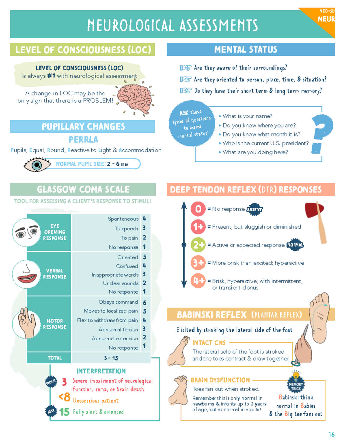 Neuroassessment - notes - NEUROLOGICAL ASSESSMENTS Level of ...