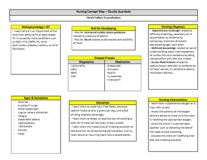 James Nursing Concept Map - Nursing Concept Map 3 Claudia Guardado ...