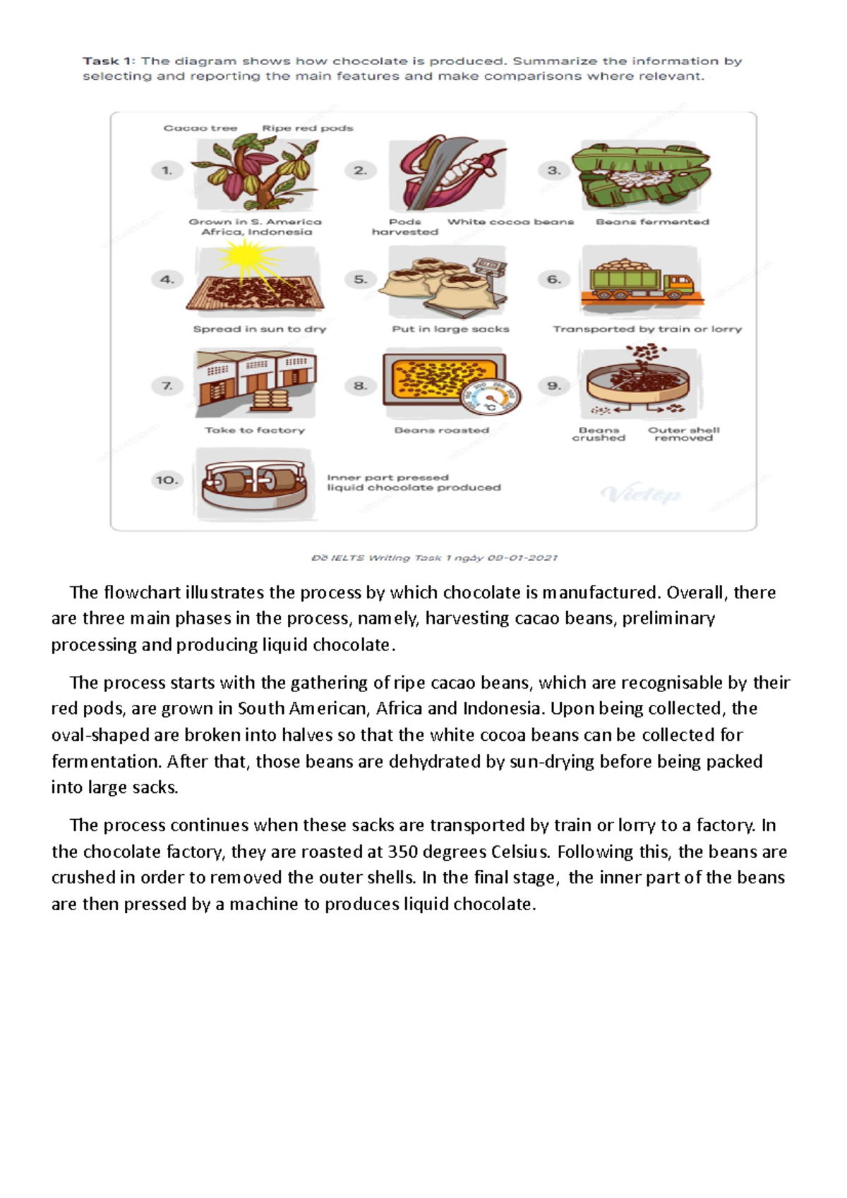 The diagram shows how chocolate is produced. Summarize the information ...