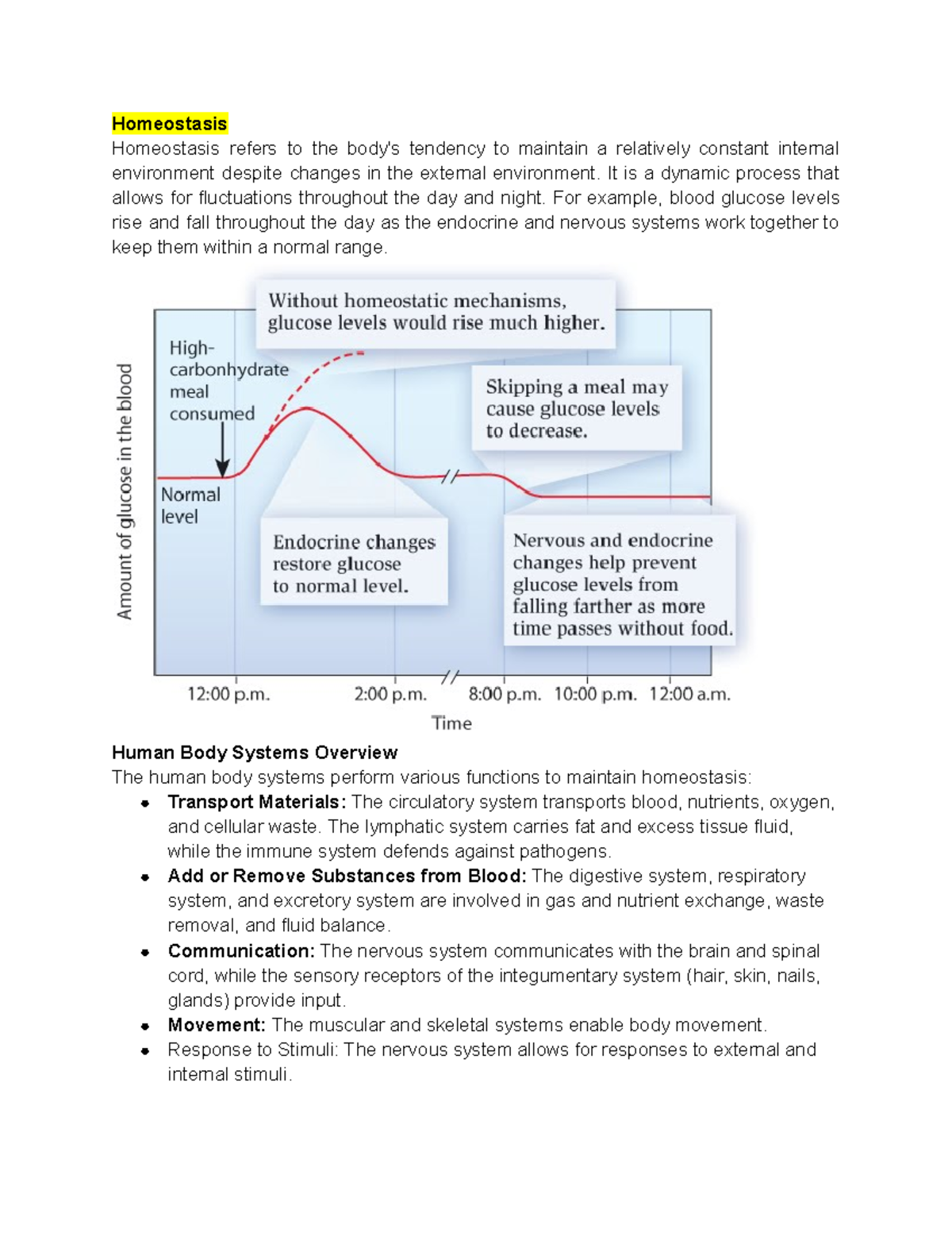 Homeostasis - An Introduction to the Human Body - Homeostasis ...