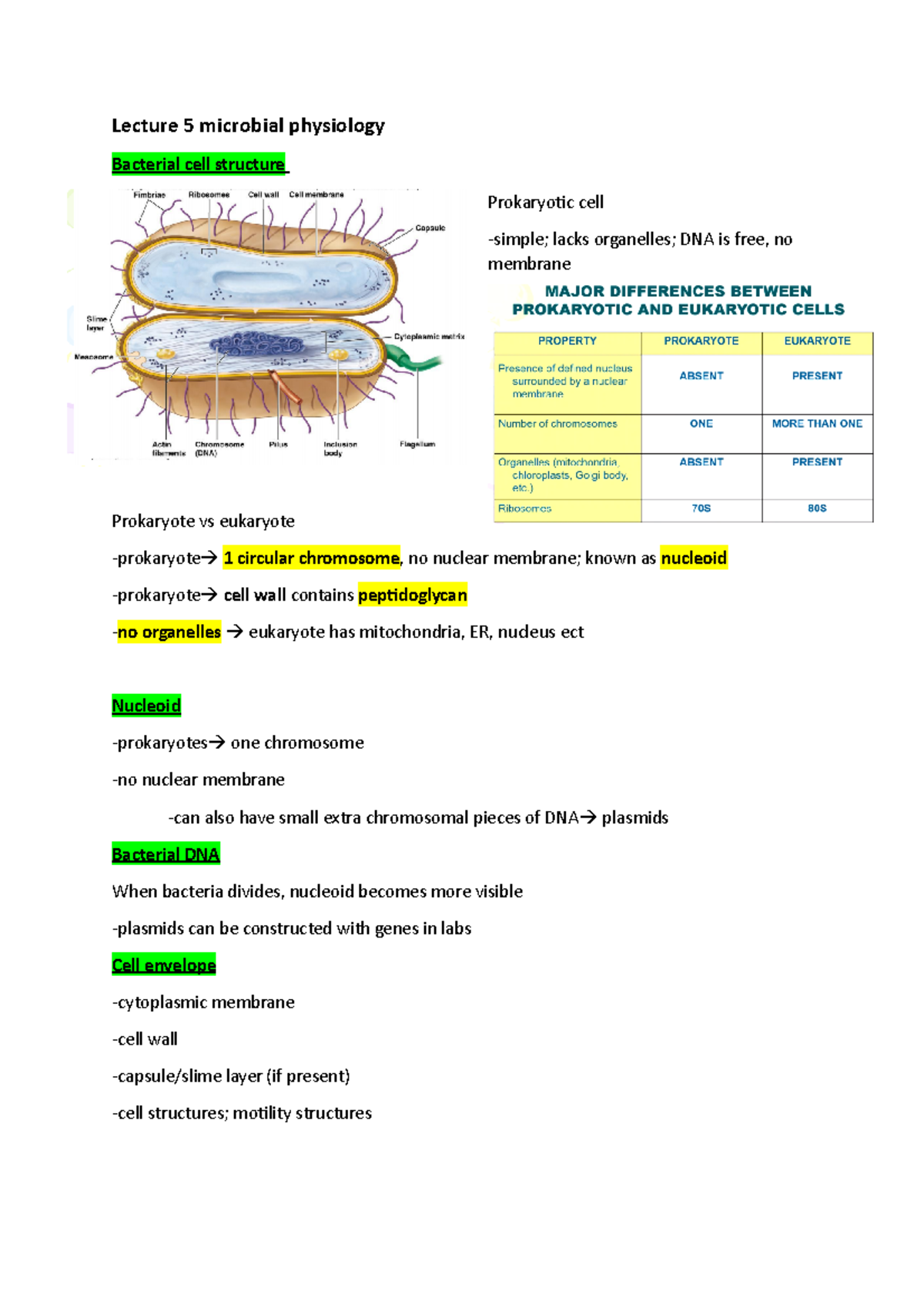Lecture 5 microbial physiology - Lecture 5 microbial physiology ...