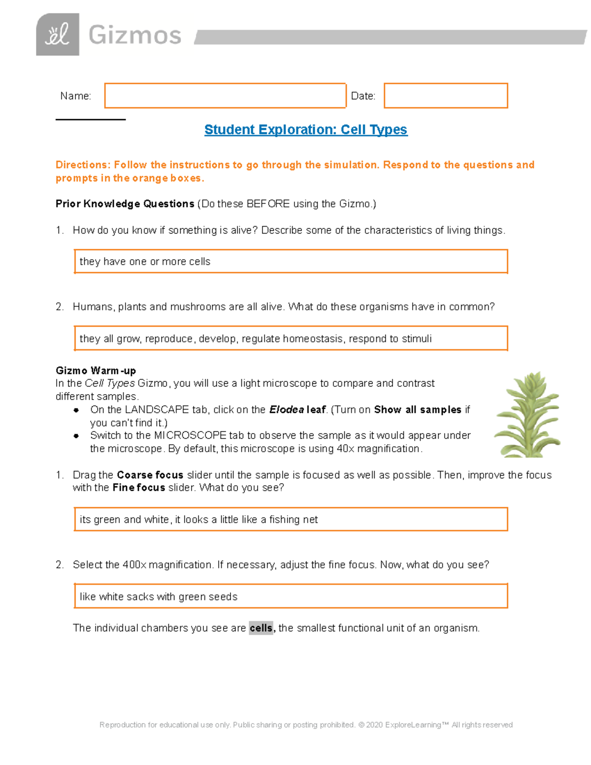 Student Exploration: Cell Types Gizmo - Name: Date: Student Exploration ...