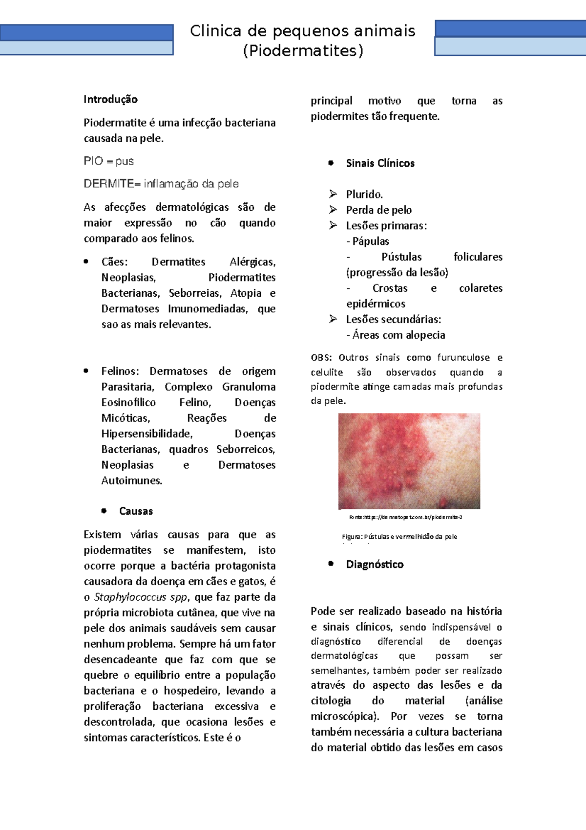Resumo de piodermatite - Introdução Piodermaite é uma infecção ...