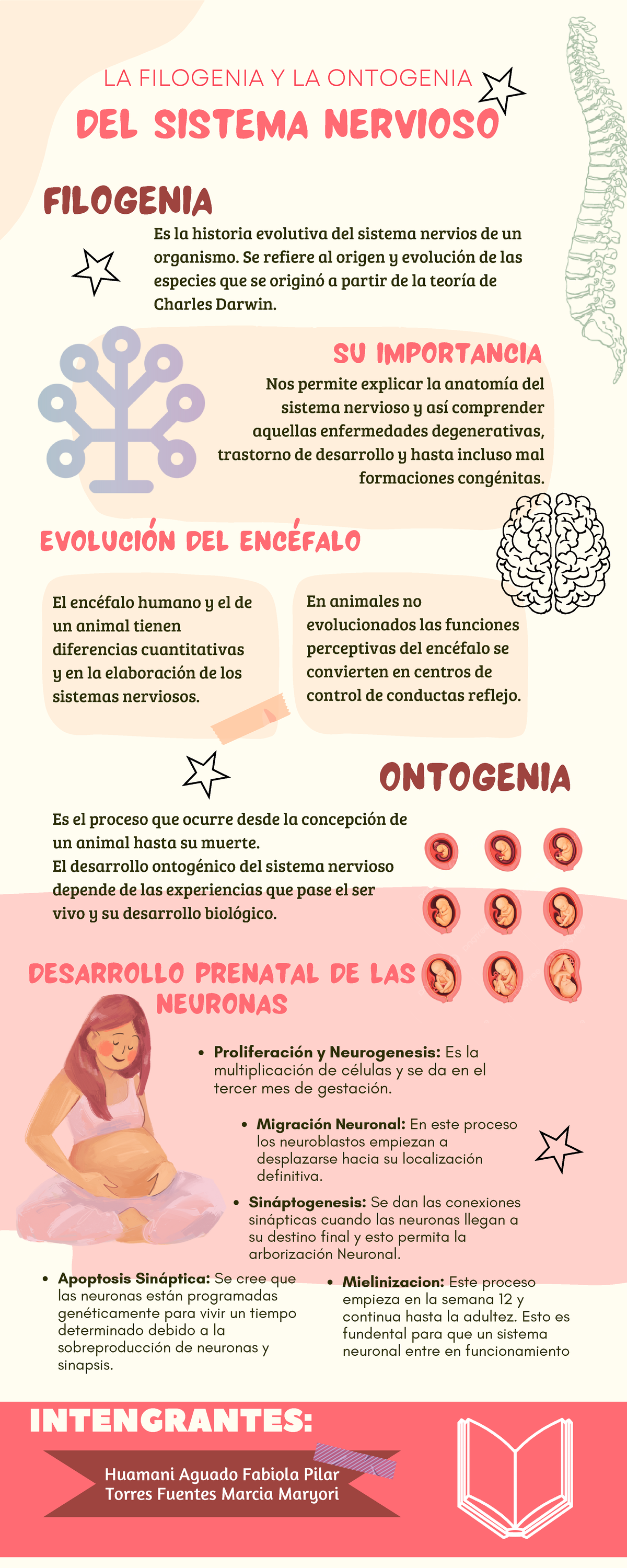 La Filogenia y la Ontogenia del Sistema Nervioso - DEL SISTEMA NERVIOSO ...