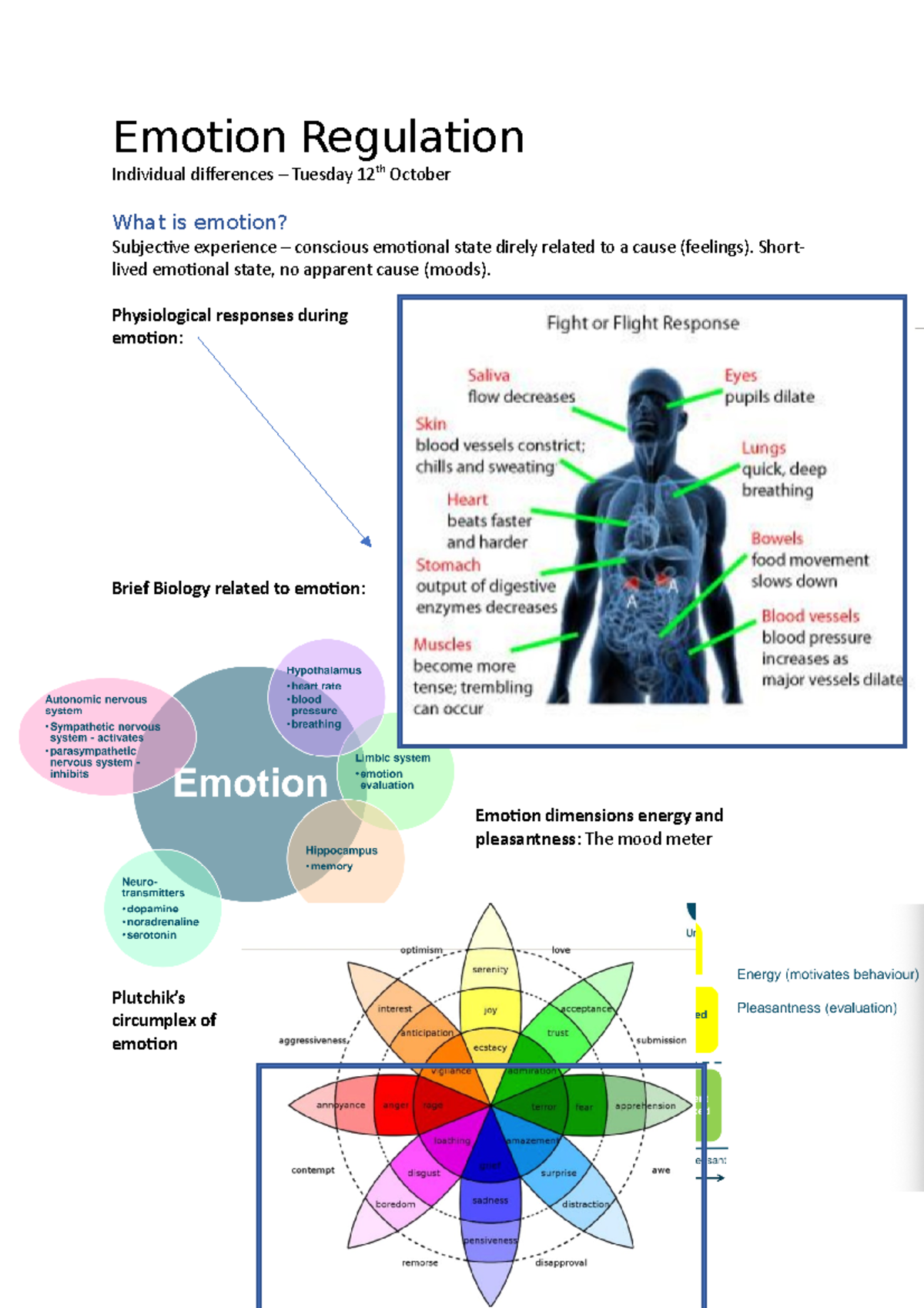 ID Emotion Regulation Lecture Notes - Emotion Regulation Individual ...