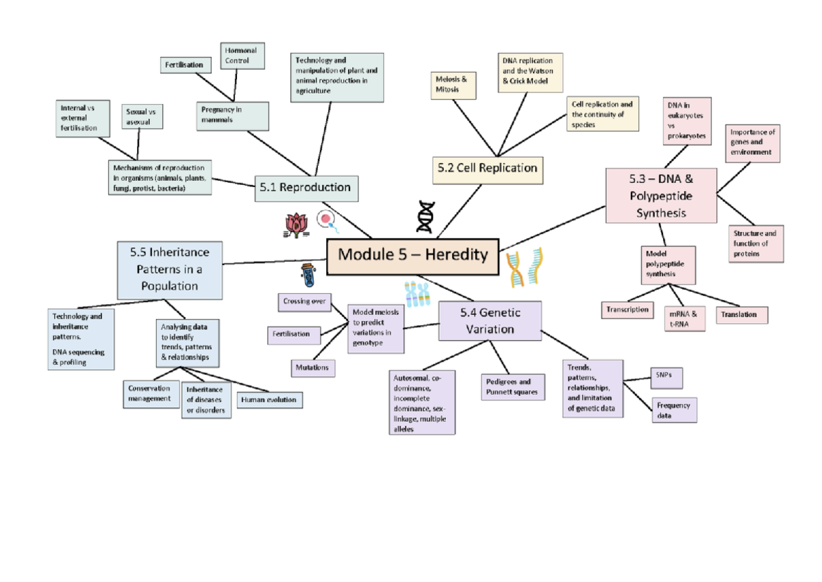 HSC Biology Mind Maps - Hormonal Control Technology and Fertilisation ...