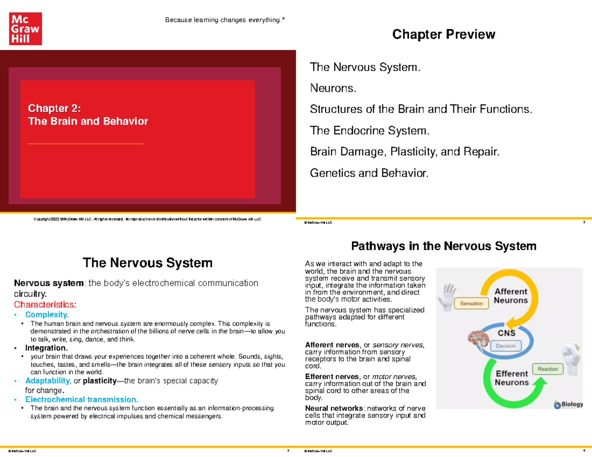 Chapter 2 The Brain and Behavior - Because learning changes everything ...