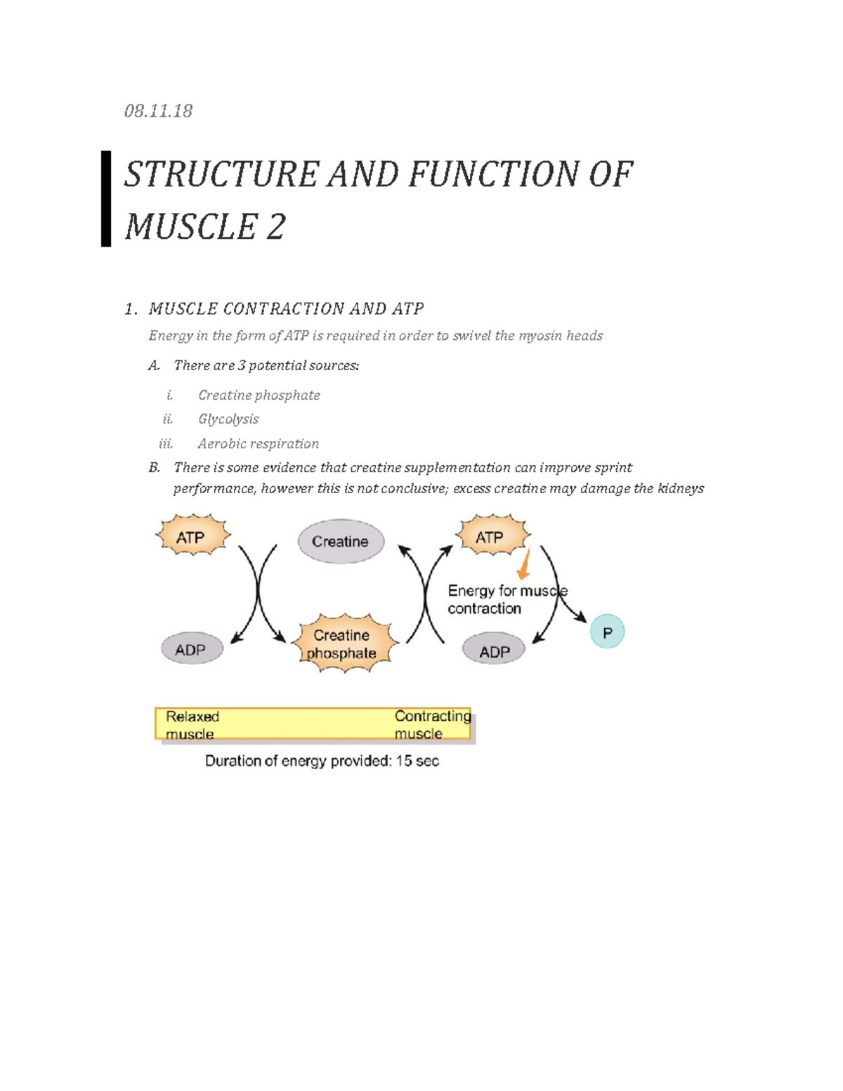 Structure and Function of Muscle - Studocu