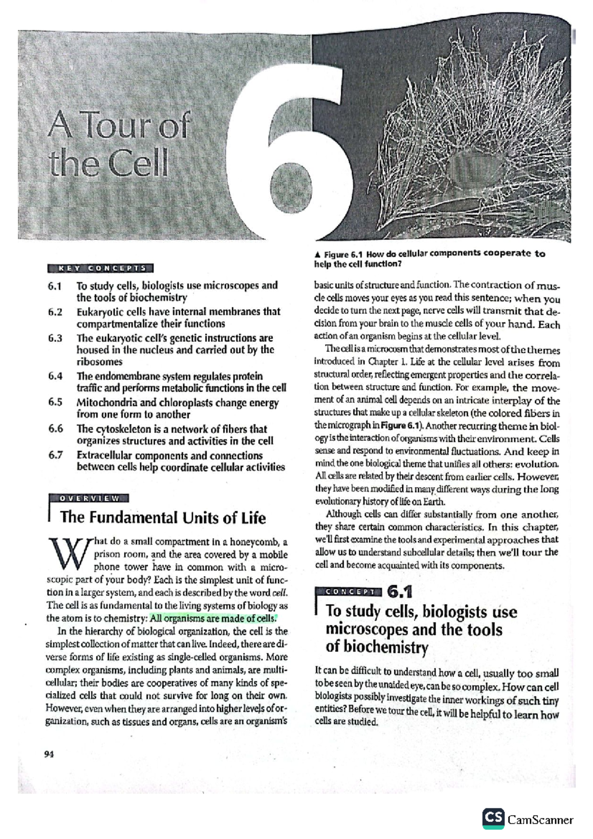 Chapter 6 A Tour of the Cell - BS BIOLOGY - Studocu