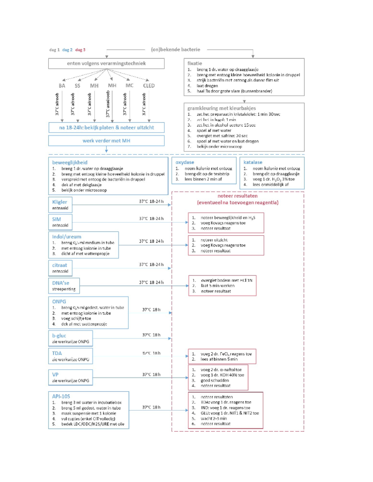 Voorbeeld-protocol- 1 - labcluster klinische biologie 2 - microbiologie ...