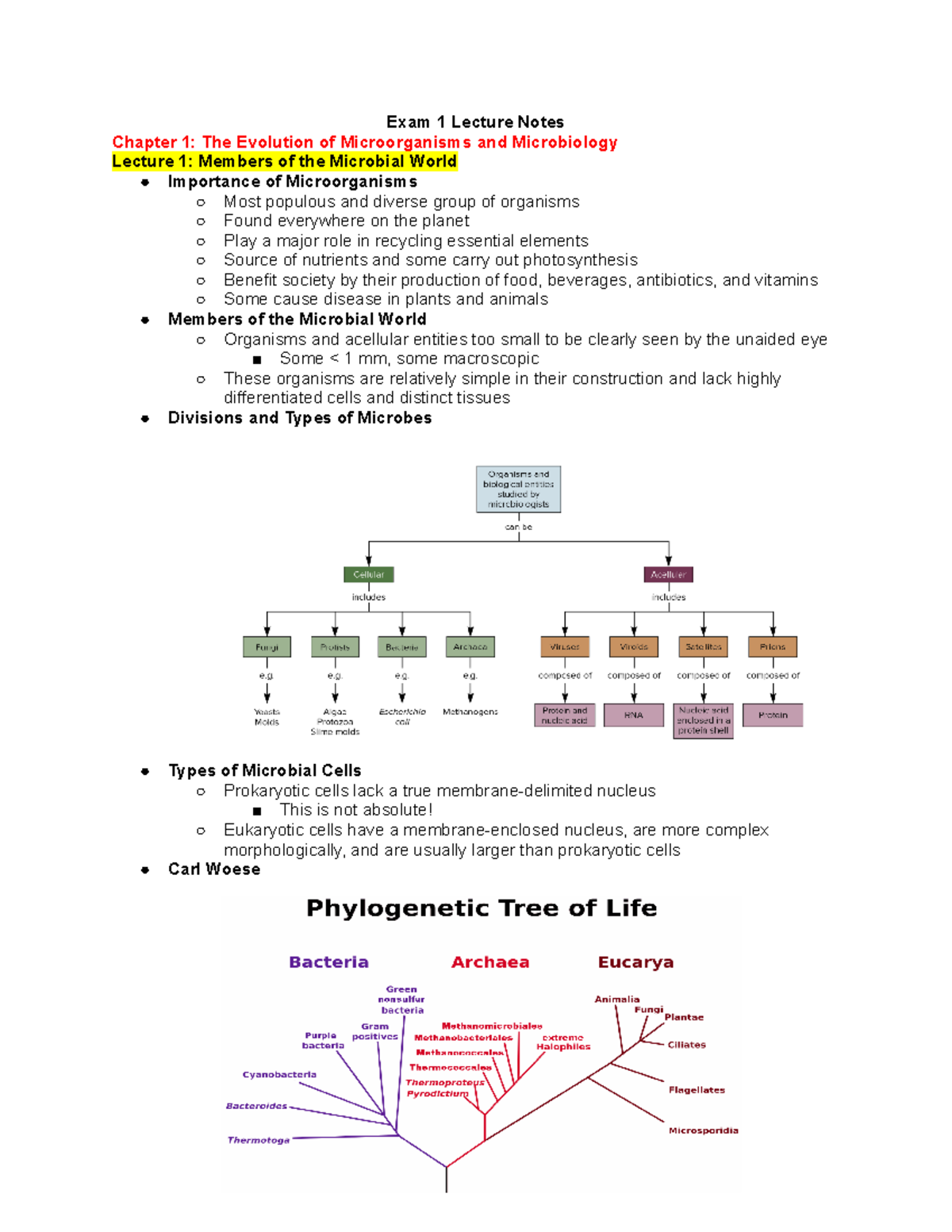 Exam 1 Lecture Notes - Exam 1 Lecture Notes Chapter 1: The Evolution of ...