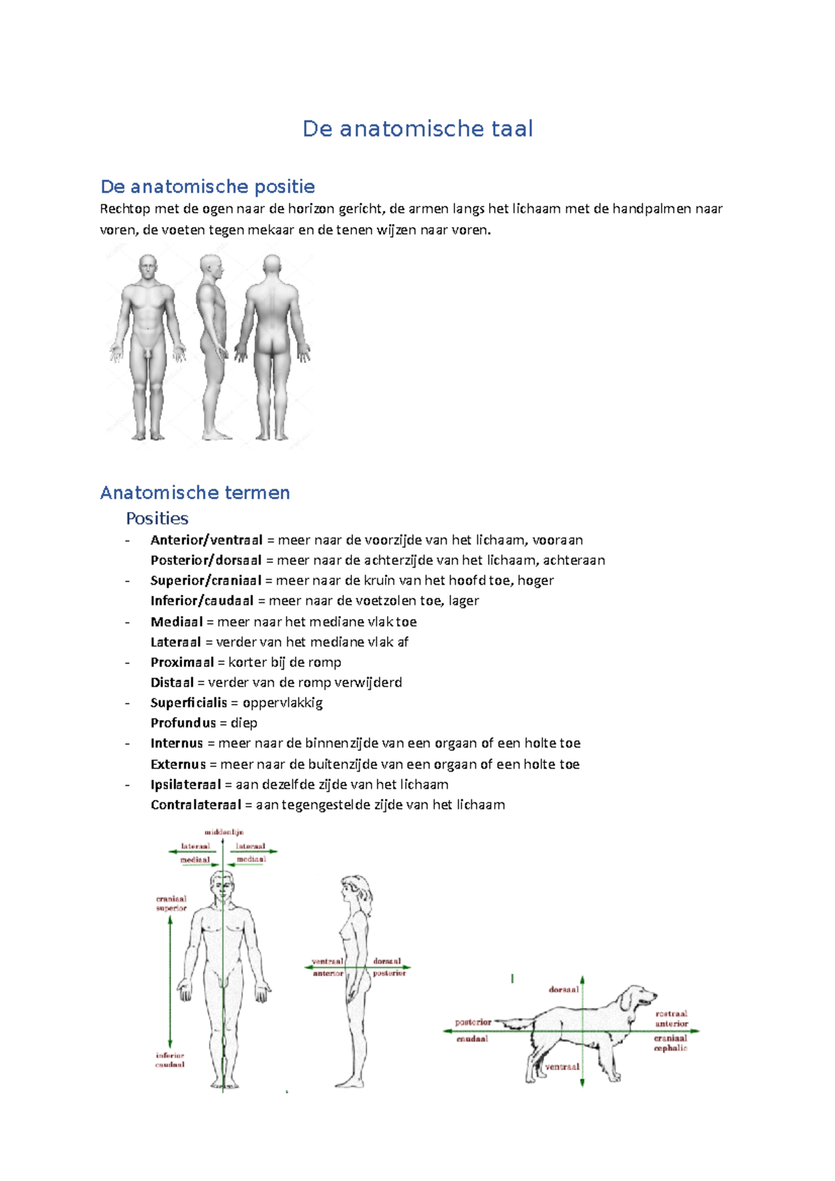 1. De anatomische taal - De anatomische taal De anatomische positie ...