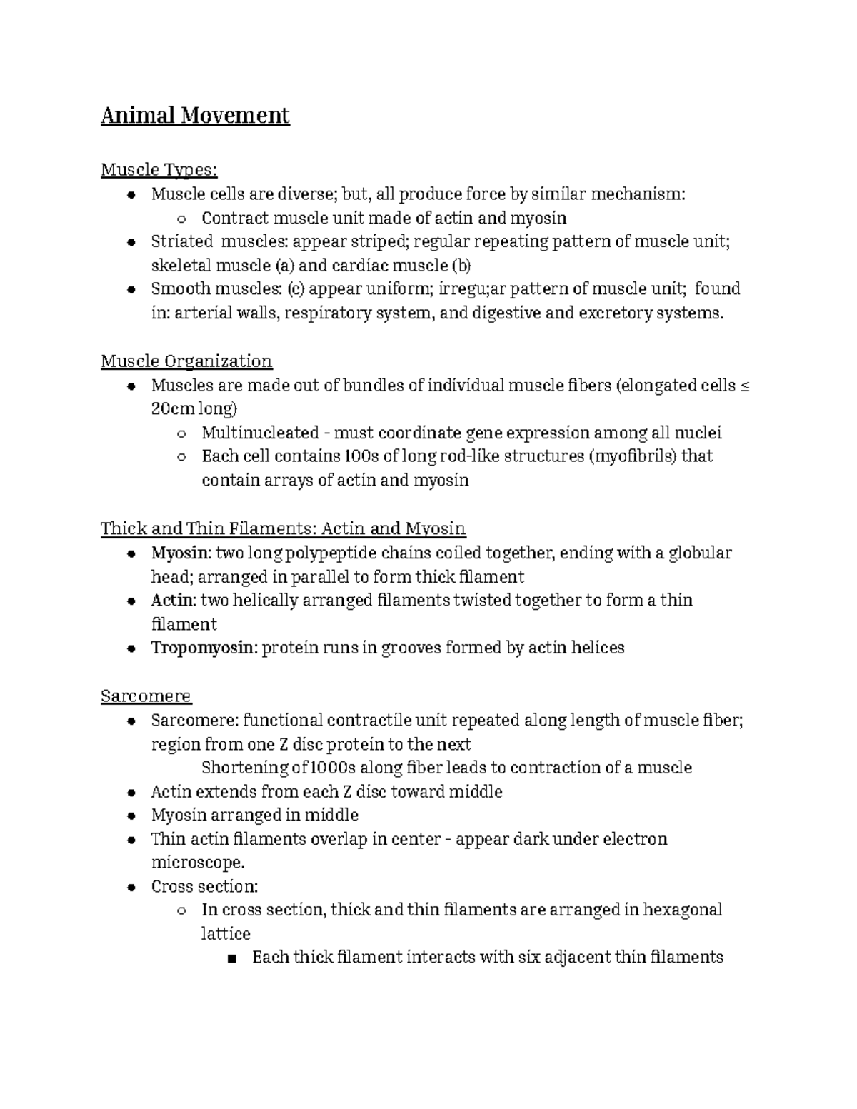 Animal Movement - Animal Movement Muscle Types: Muscle cells are ...