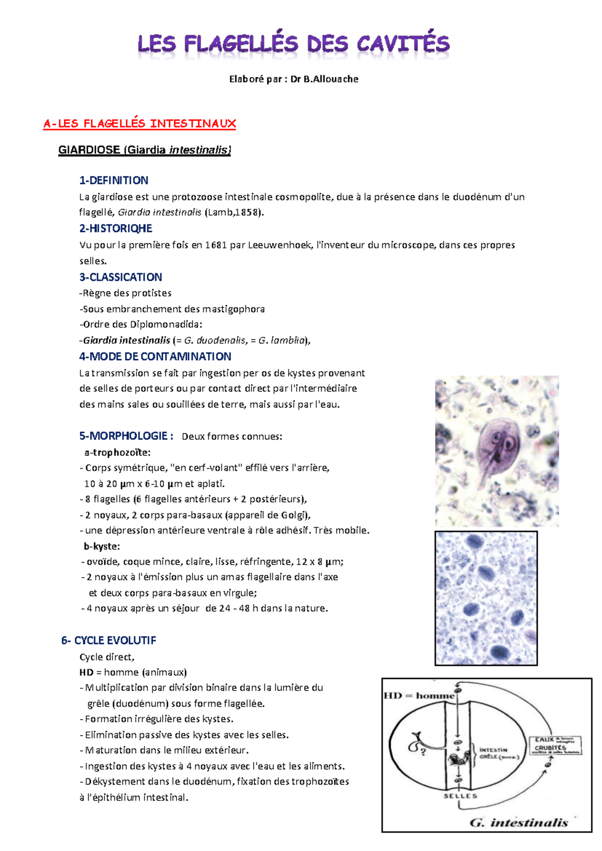 Parasito 3an-flagelles cavites 2 - Elaboré par : Dr B A-LES FLAGELLÉS ...