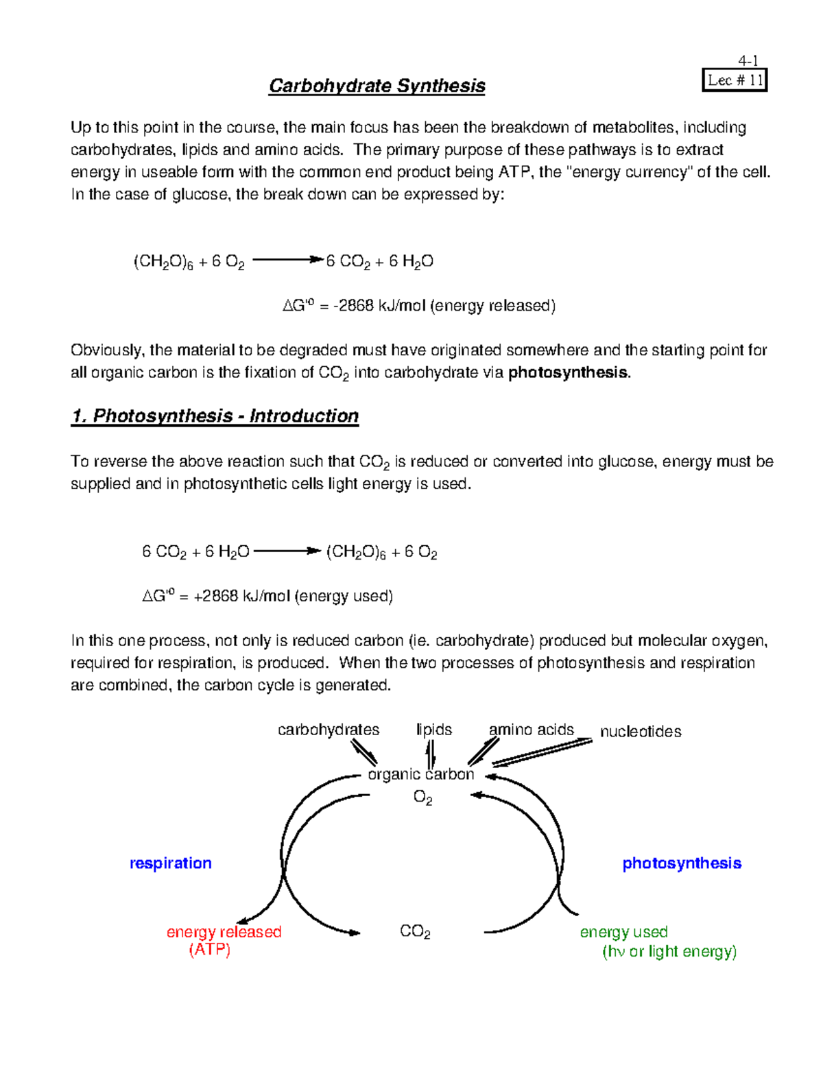 Carbohydrate Synthesis in Photosynthesis - Studocu