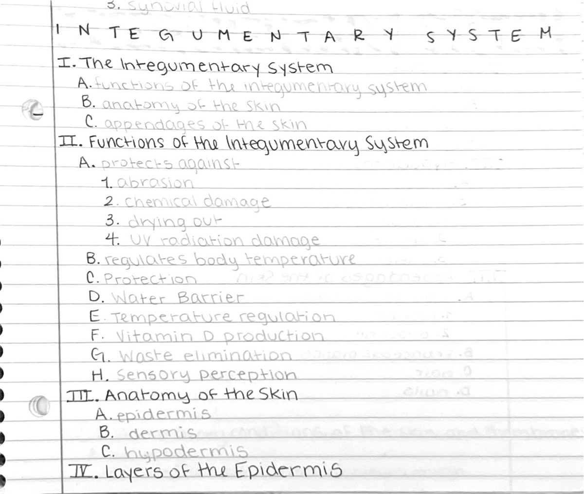 Integumentary System - BIO 2053 - Studocu