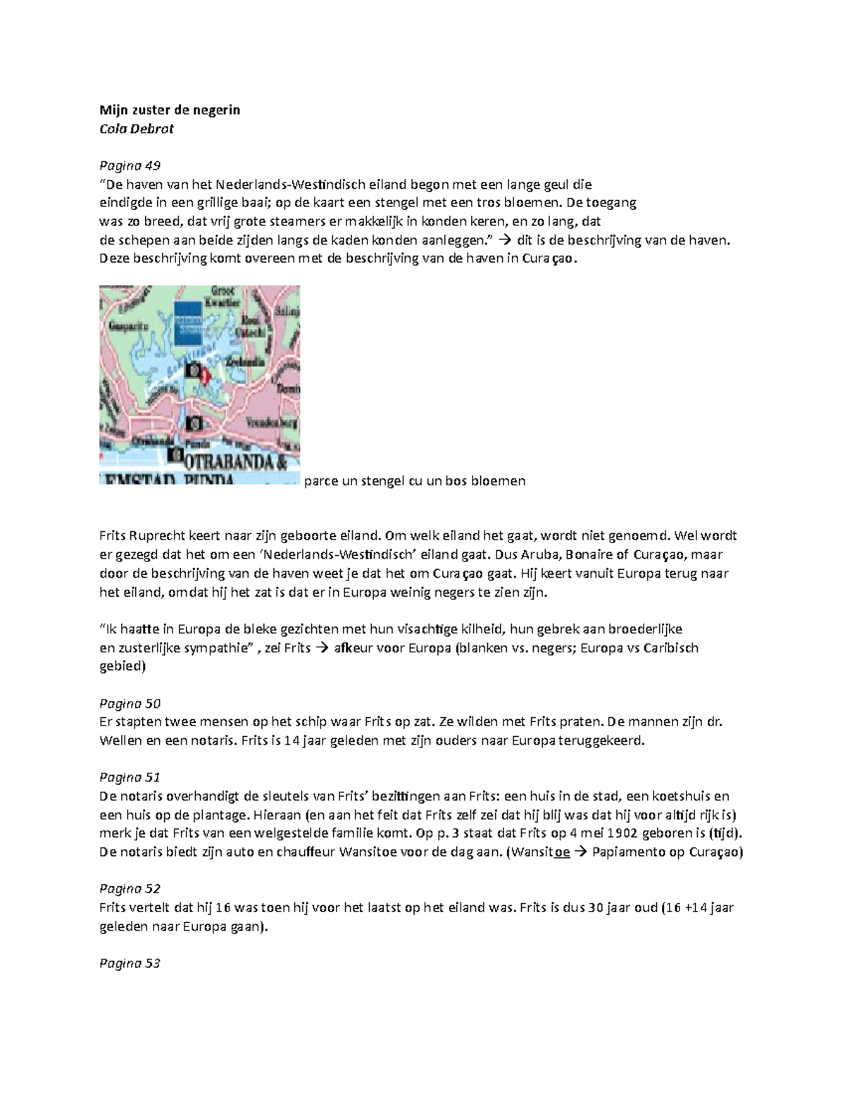 Samenvattign MZDN - De Stille Kracht - Mijn zuster de negerin Cola ...