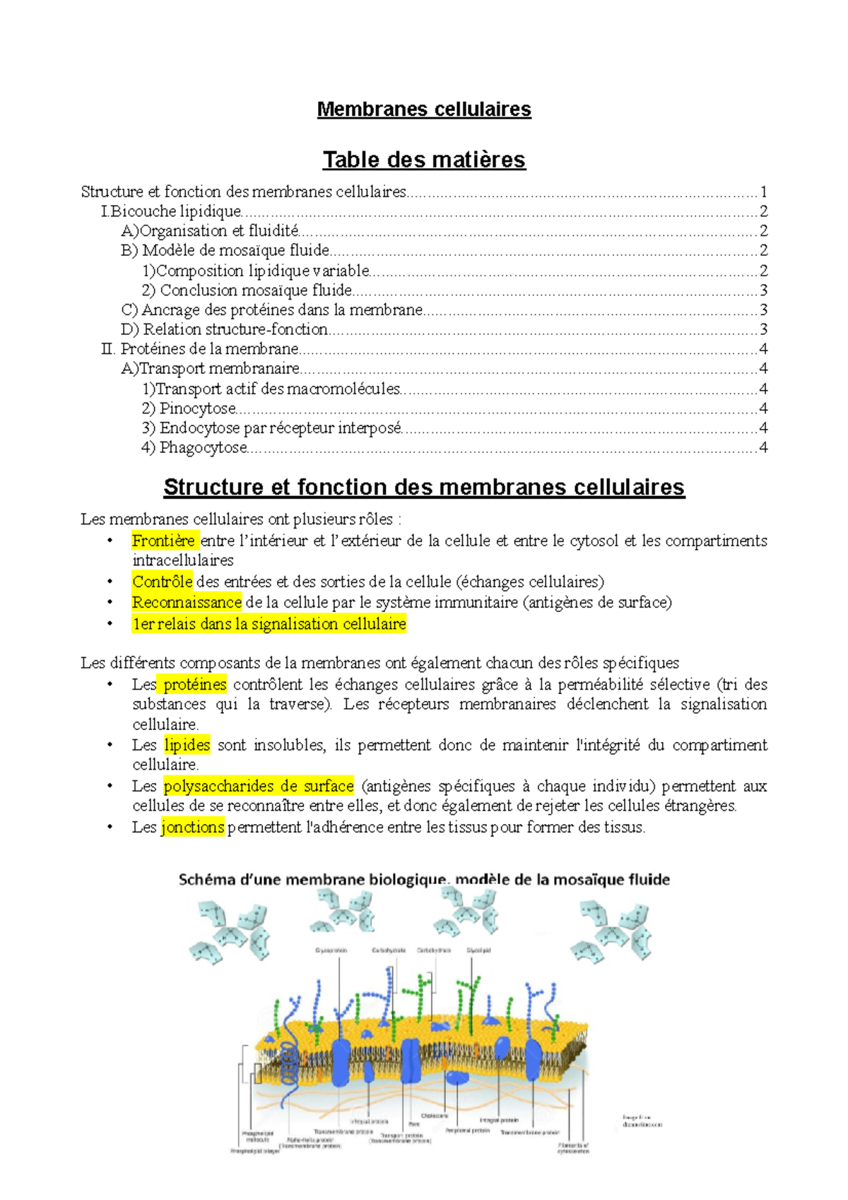 2- Membranes cellulaires - Membranes cellulaires Table des Structure et ...