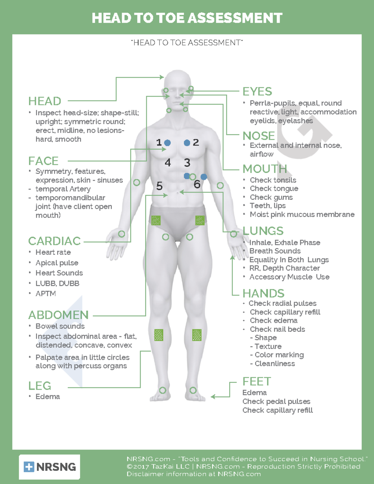 Head to Toe Assessment - NRSNG - “Tools and Confidence to Succeed in ...