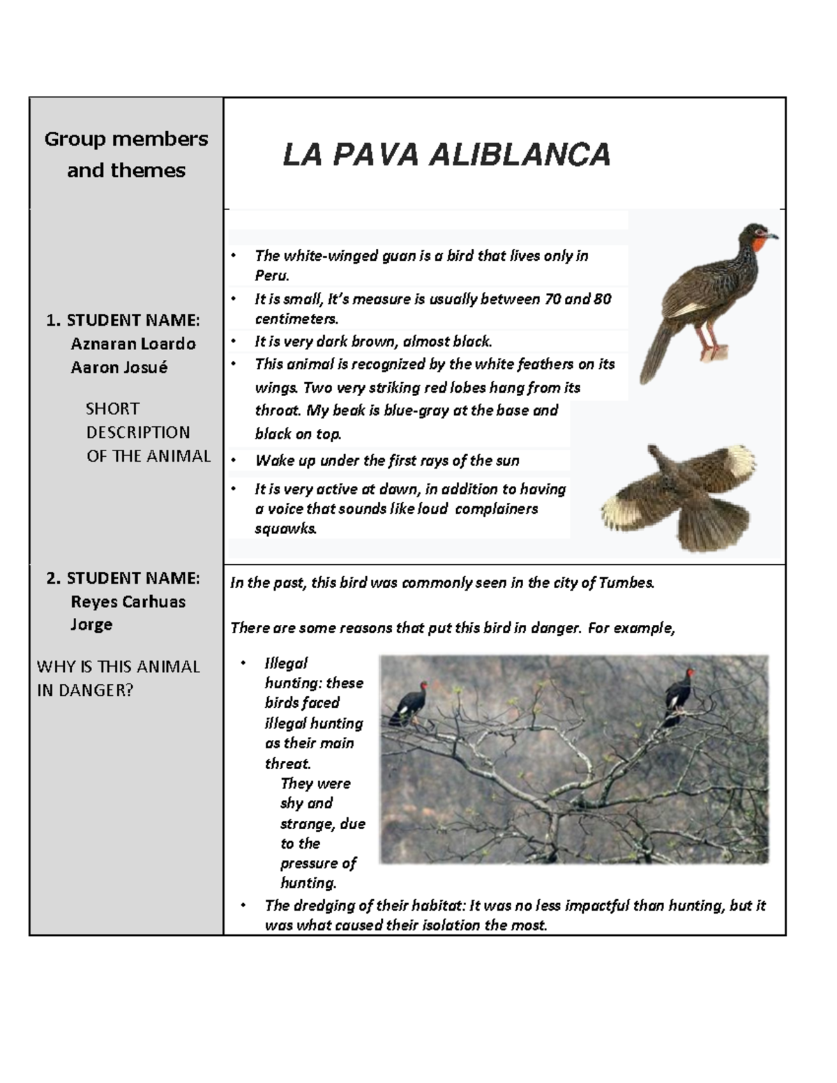 Ingles trabajo - pava aliblanca - Group members and themes LA PAVA ...