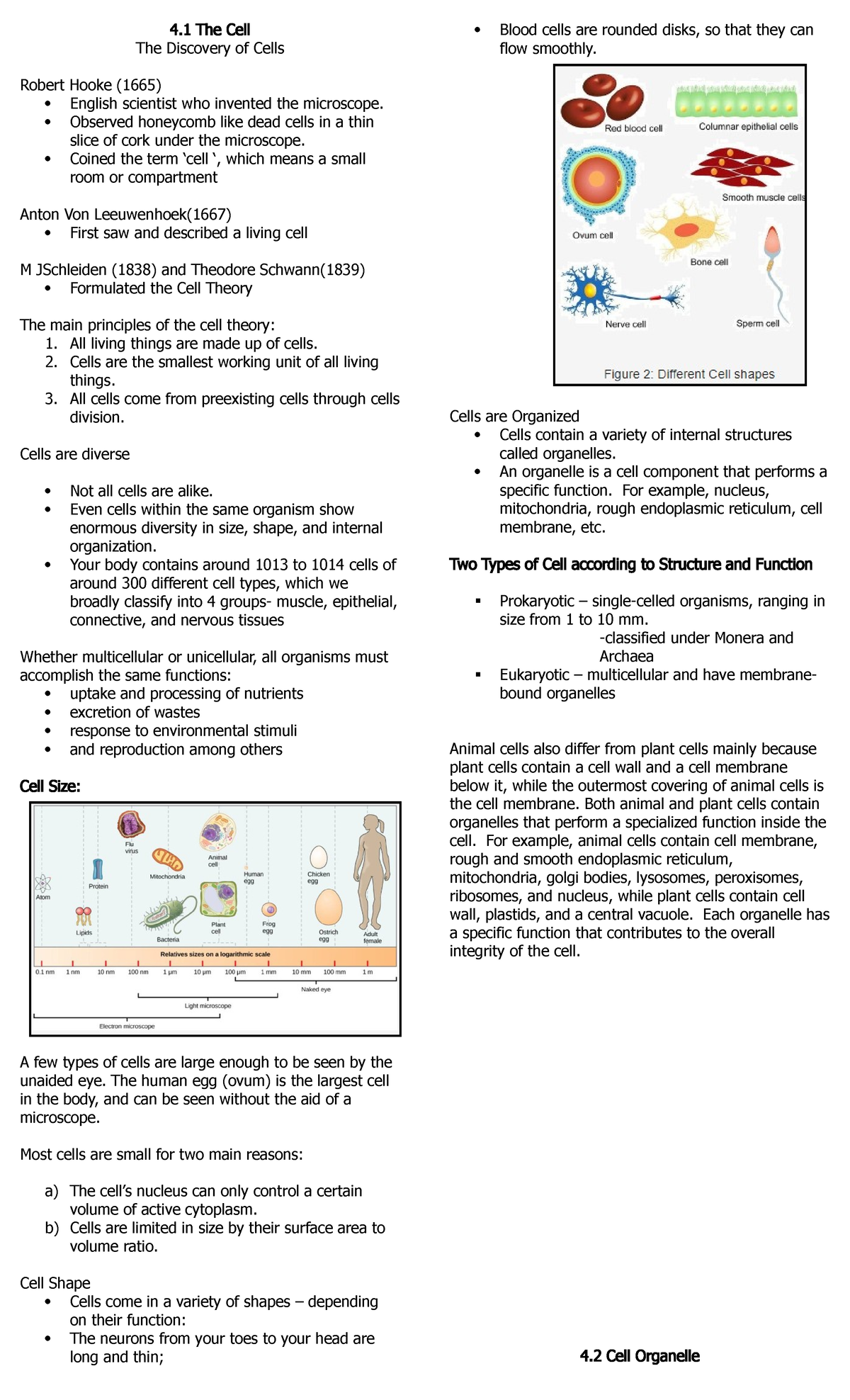 Cell-organelles - cell organelles - 1 The Cell The Discovery of Cells ...