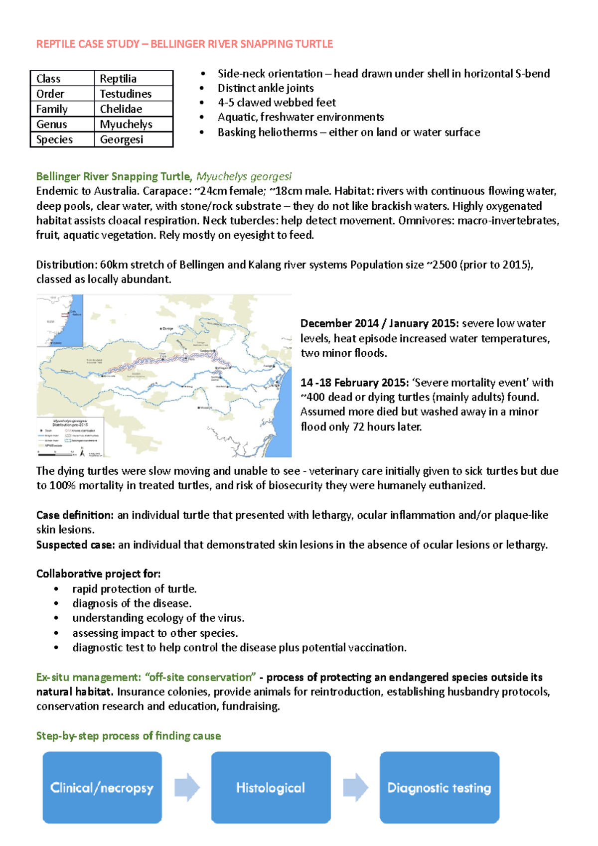 Reptile Case Study (Bellinger River Snapping Turtle) - REPTILE CASE STUDY – BELLINGER RIVER ...