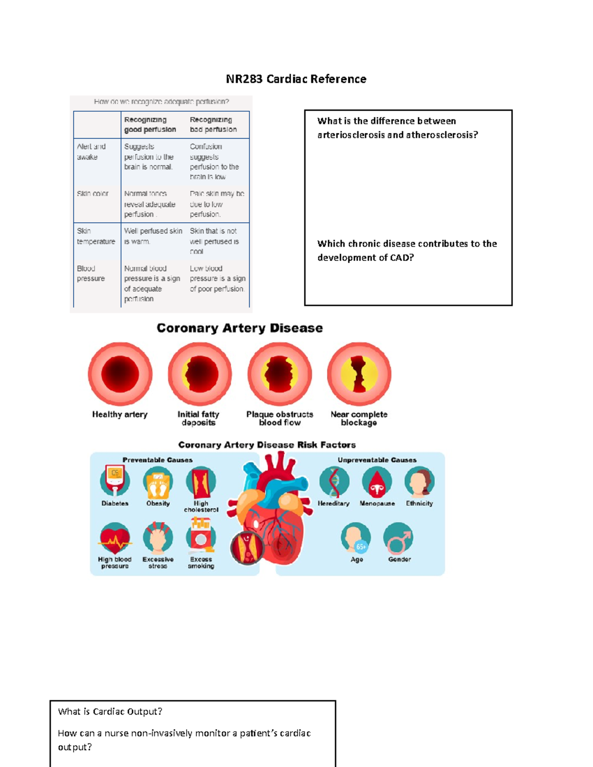 NR283 Cardiac Reference - ) procedures or surgical interventions (stent ...