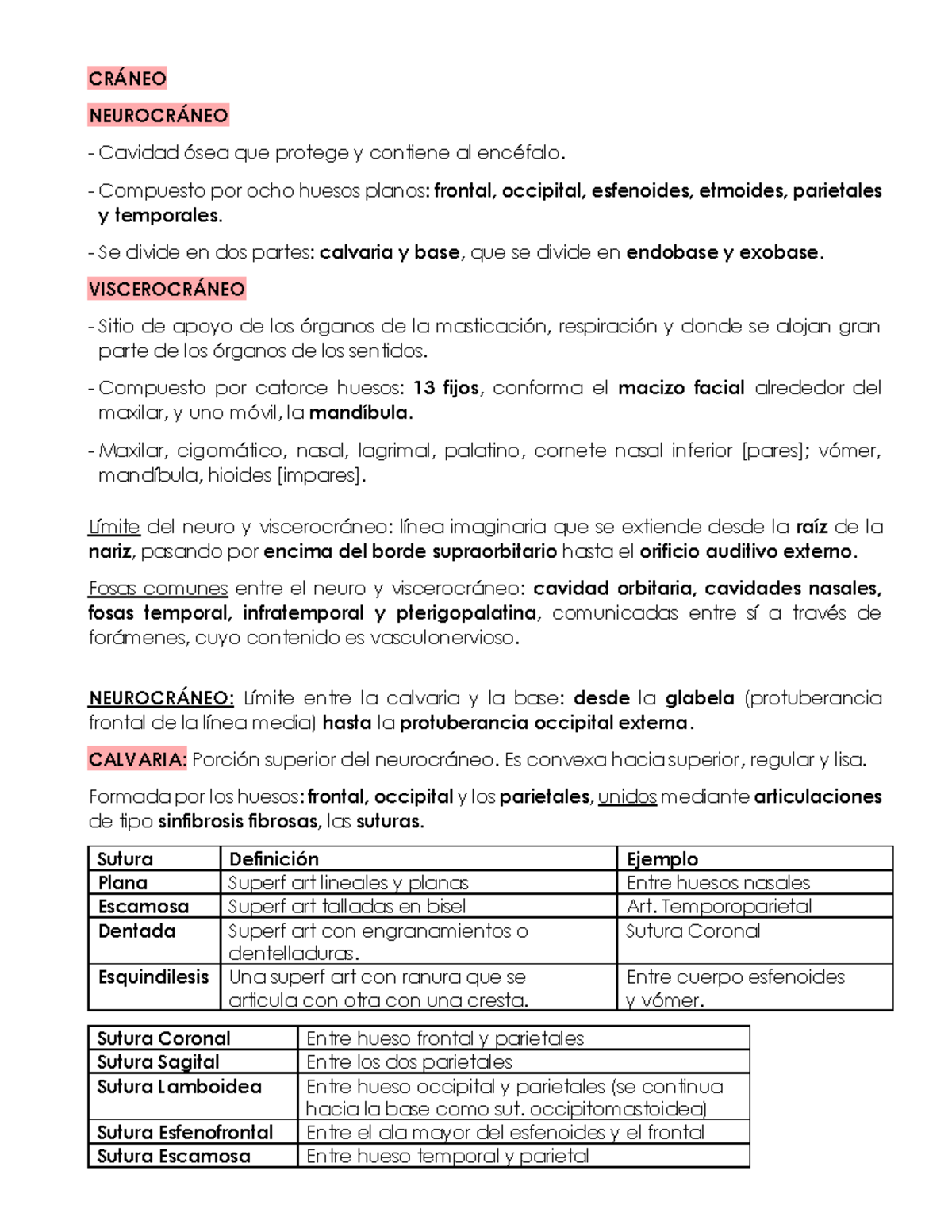Cráneo - Cráneo: Huesos. Endobase, exobase. Regiones topográficas ...