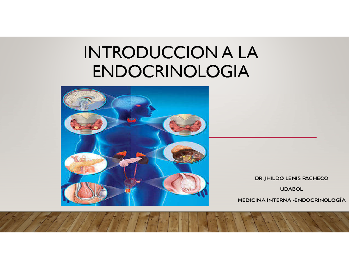 Introduccion A LA Endocrinologia Jhildo - INTRODUCCION A LA ...