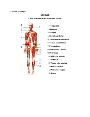 Module 4 - Anatomy and Physiology - Lecture Assignment # APPLIED AND ...