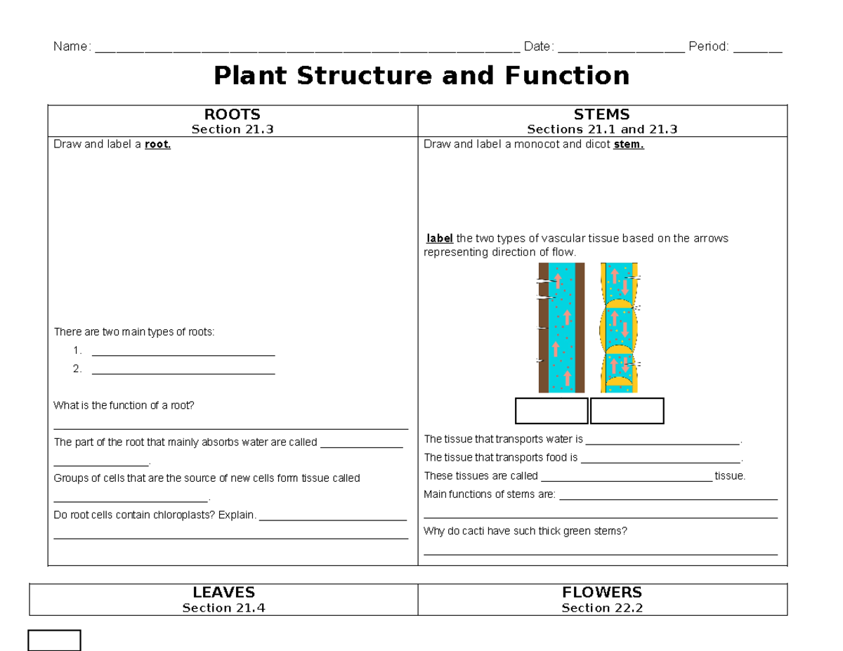 - plant structure function draw label - Name: - Studocu