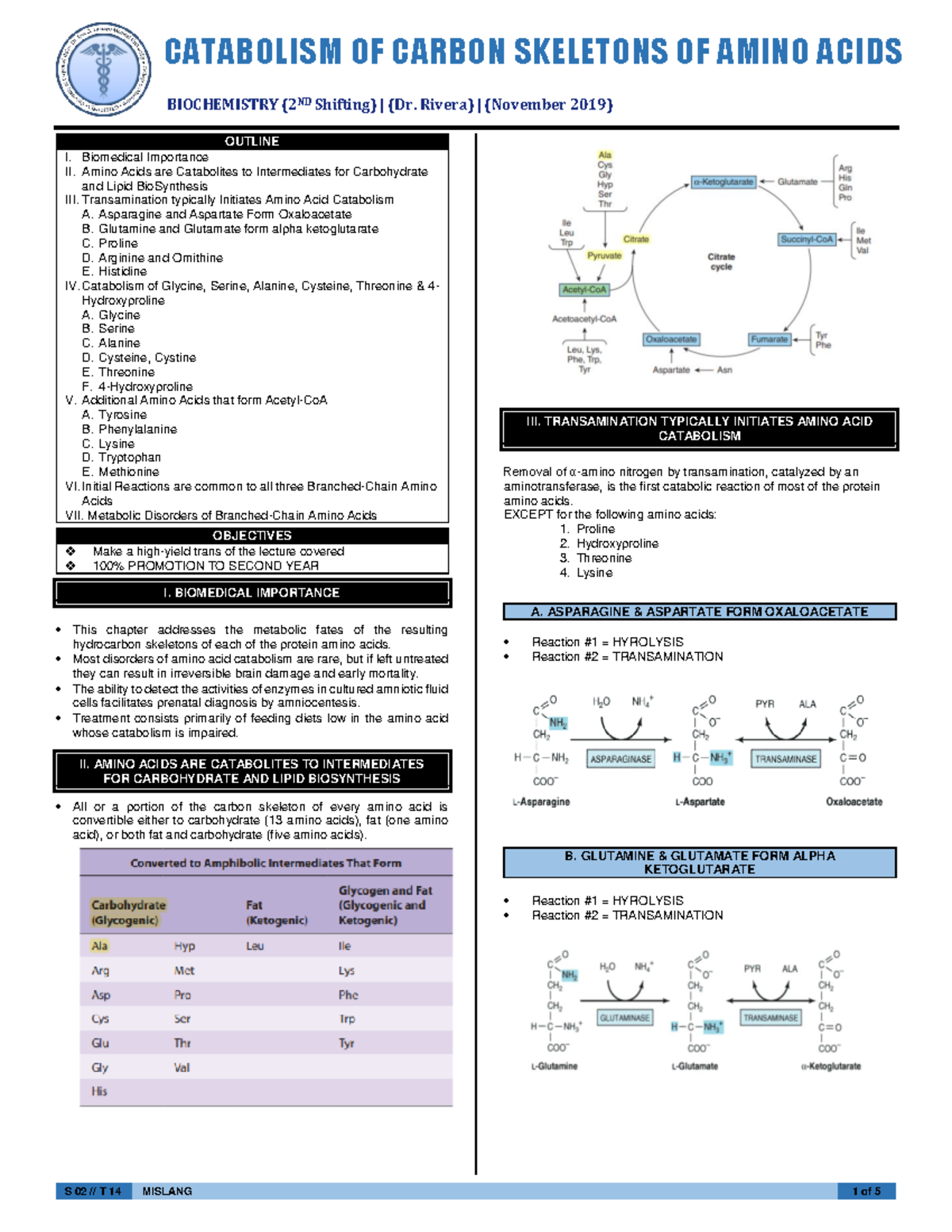 catabolism-of-carbon-skeletons-of-amino-acids-s-02-t-14-mislang-1