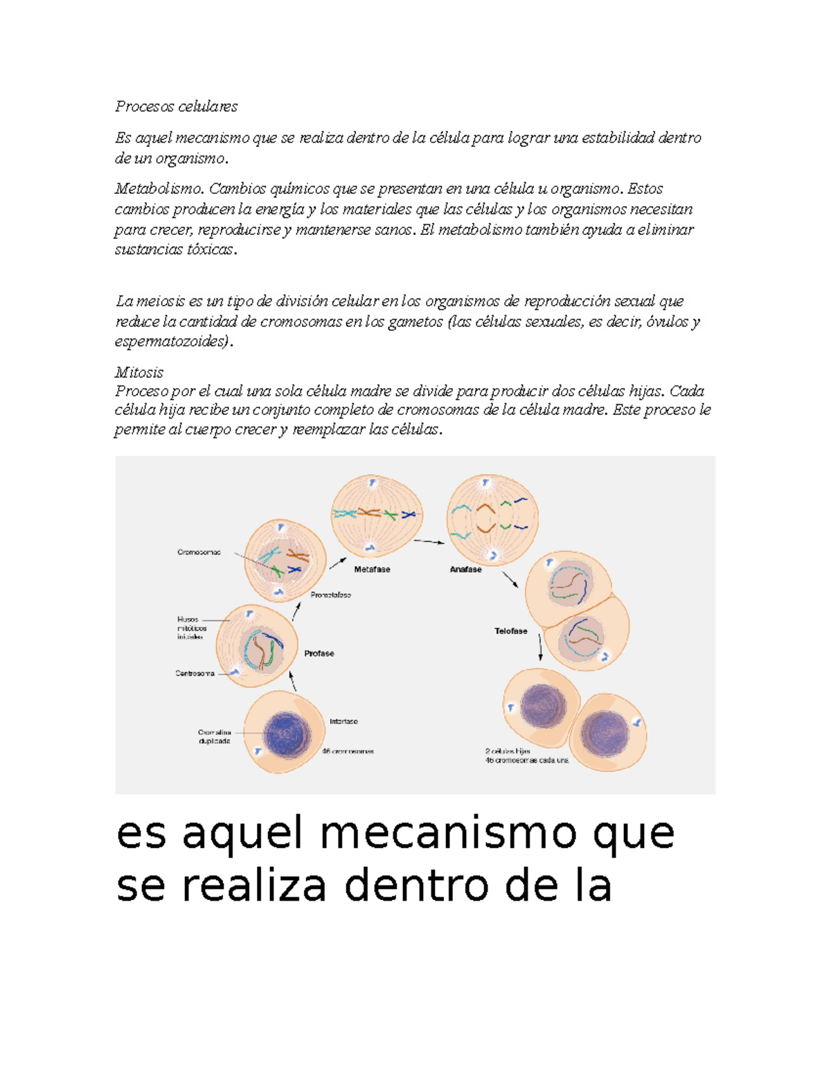 Procesos celulares - tema: células - Procesos celulares Es aquel ...