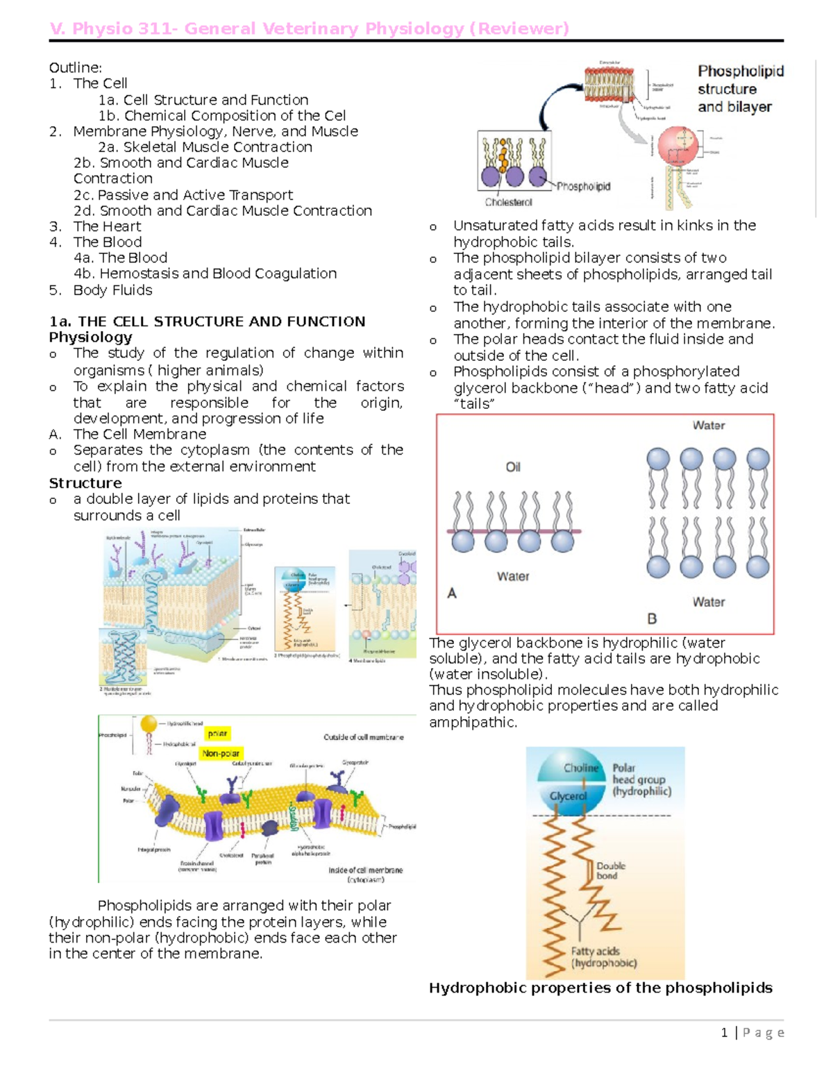 Physio Reviewer - V. Physio 311- General Veterinary Physiology (Reviewer) Outline: 1. The Cell ...