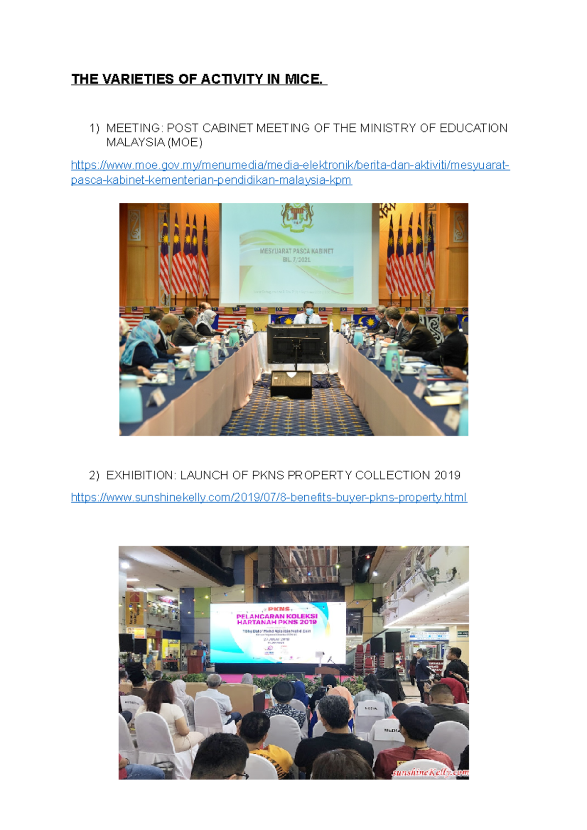 THE Varieties OF Activity IN MICE - THE VARIETIES OF ACTIVITY IN MICE ...