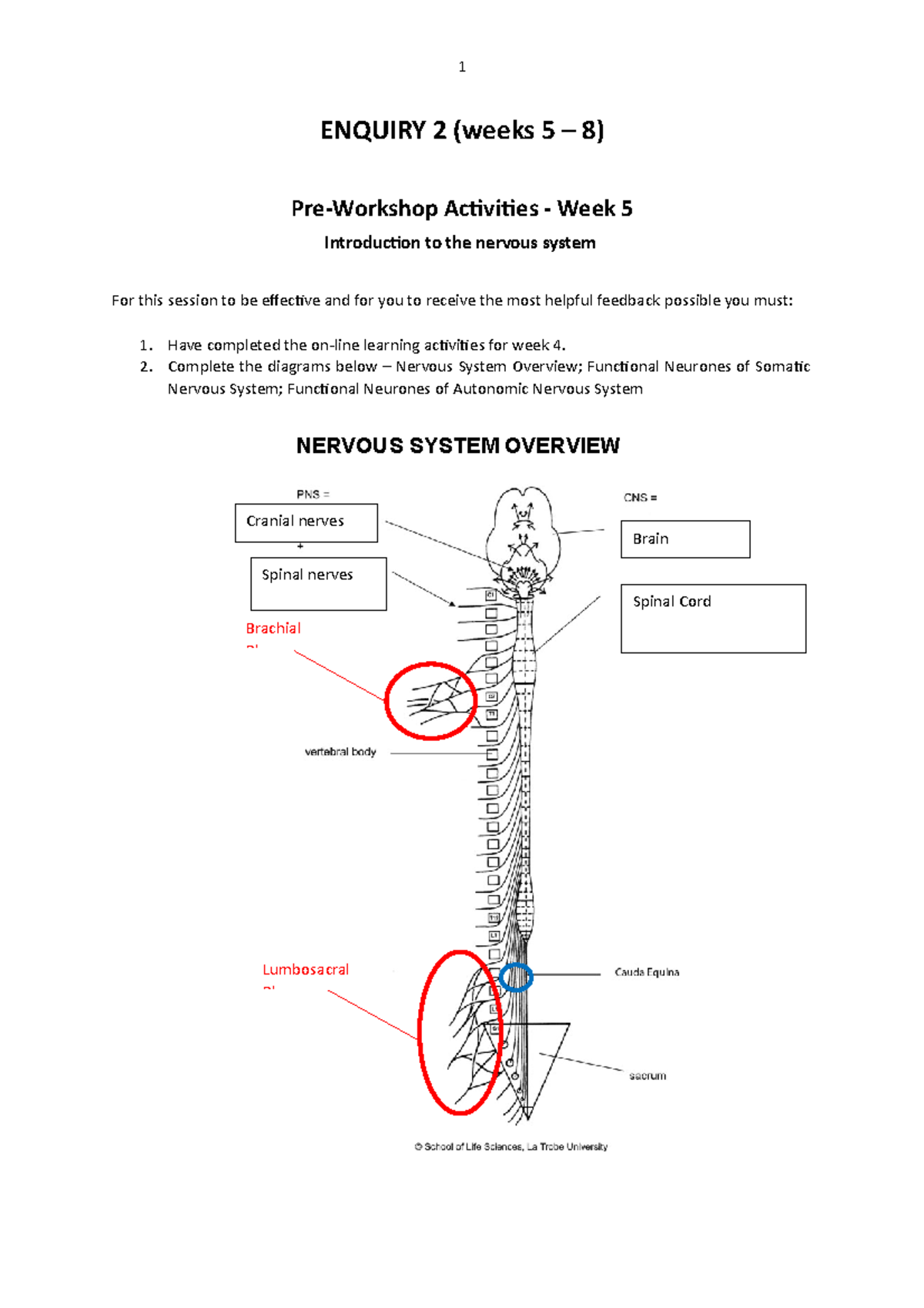 HBS1HBB Pre Workshop Activities 5 2020 1 - ENQUIRY 2 (weeks 5 – 8) Pre ...