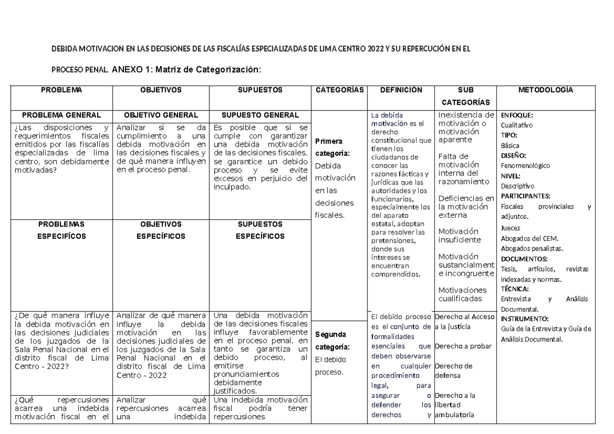 Modelo DE Matriz DE CategorizacióN PARA UNA Cualitativa (1) - DEBIDA ...